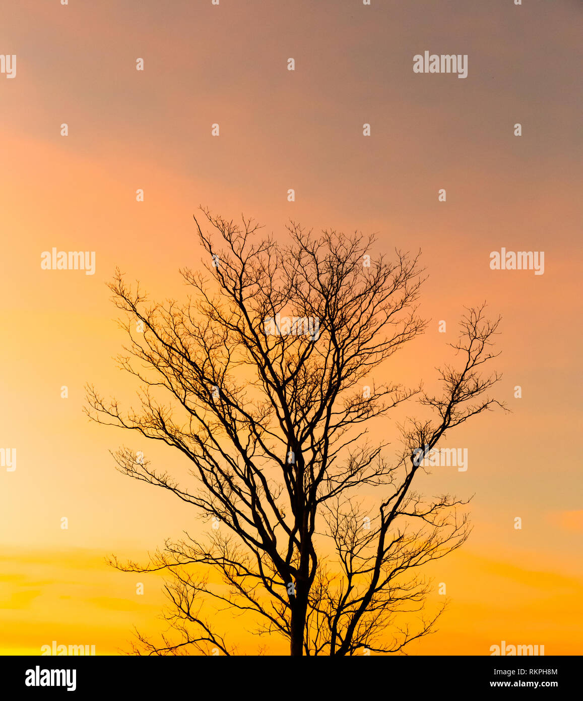Beautiful sunset dead sea hi-res stock photography and images - Alamy