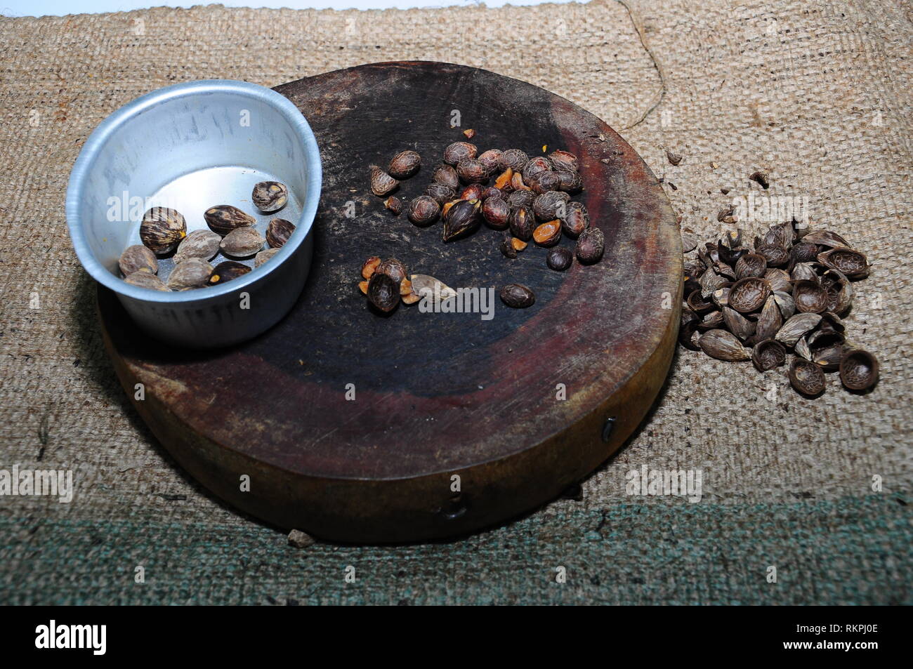 Bunch Analysis of oil Palm to check the oil quantity and quality of the ...
