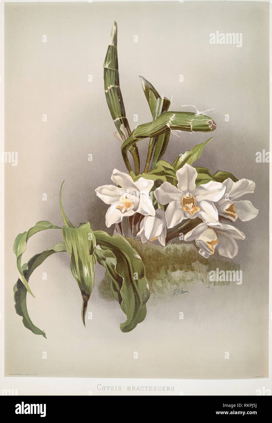 Frederick sander hi-res stock photography and images - Alamy