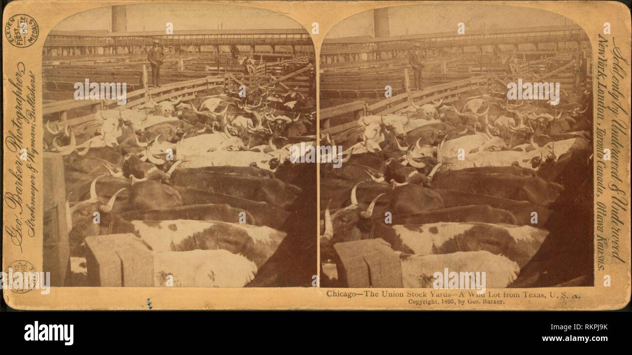 Chicago stockyards hi-res stock photography and images - Alamy