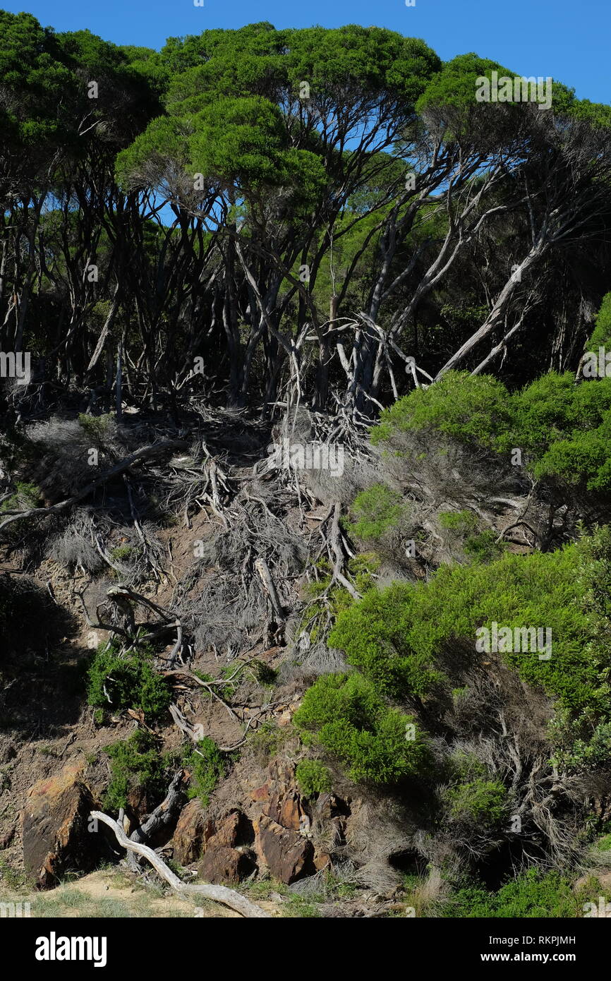 Tathra australia hi-res stock photography and images - Alamy