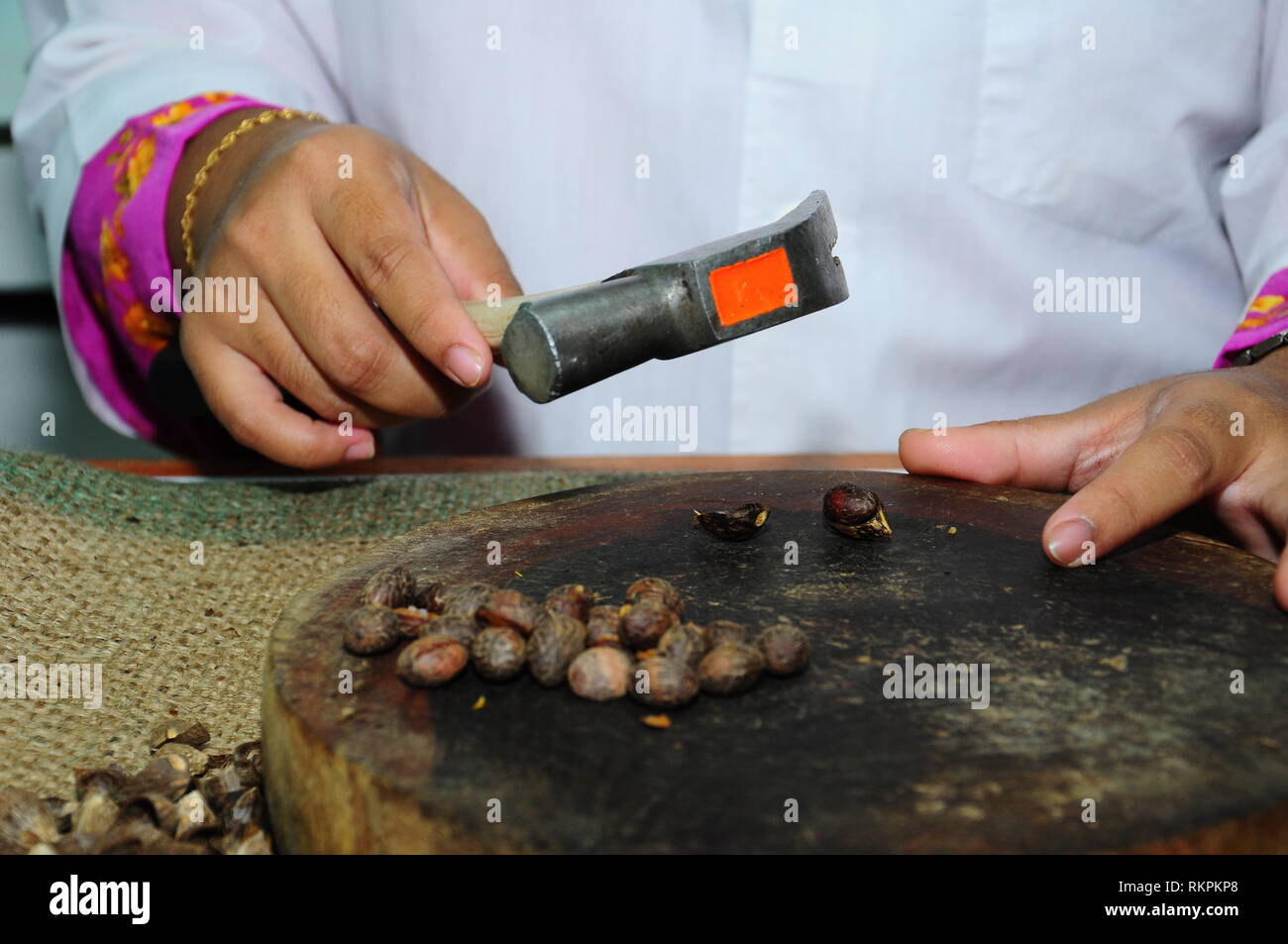 Bunch Analysis of oil Palm check the quantity and quality of the oil ...