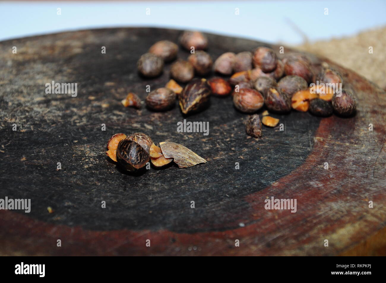 Bunch Analysis of oil Palm check the quantity and quality of the oil ...
