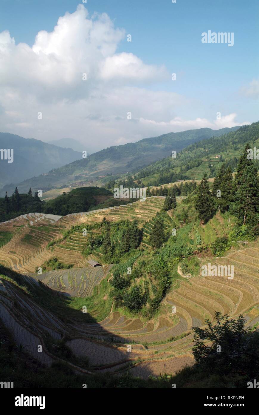 A section of the spectacular Longji- Dragon’s Backbone Rice Terraces at ...