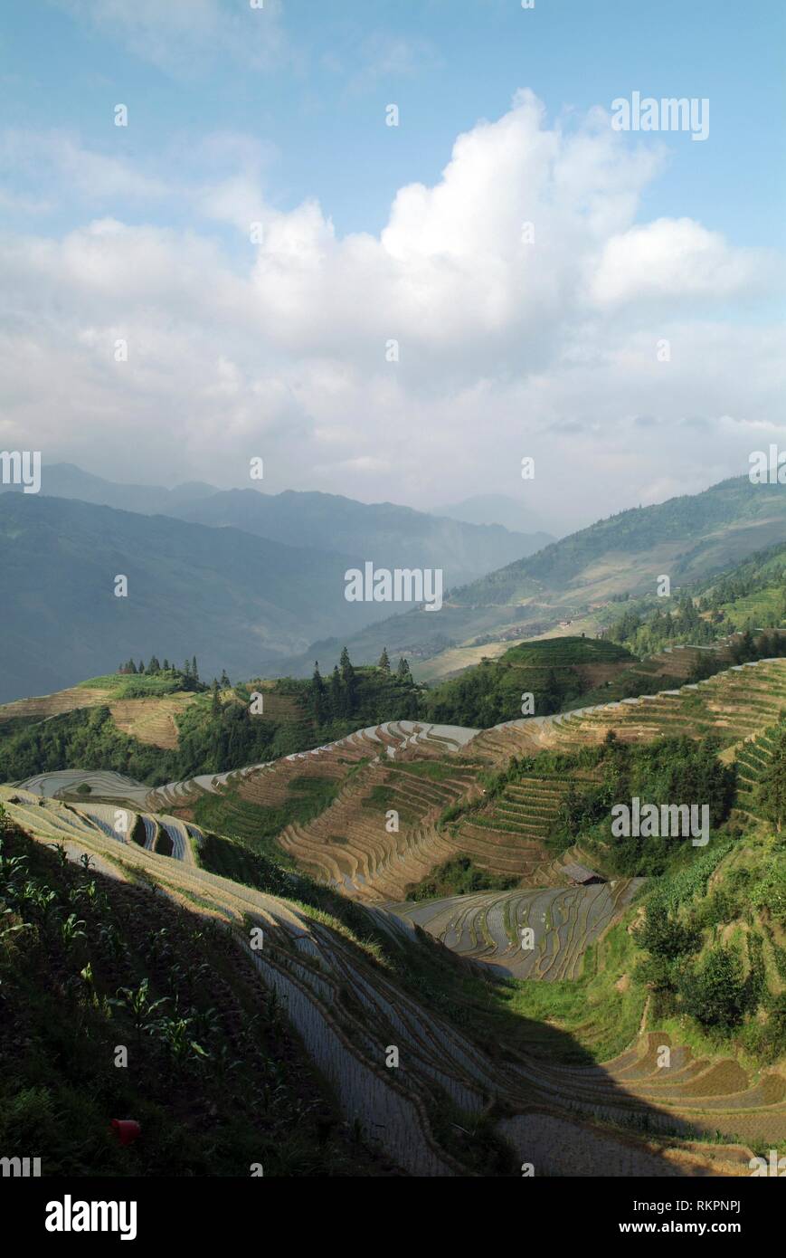 Dragon's backbone hi-res stock photography and images - Alamy