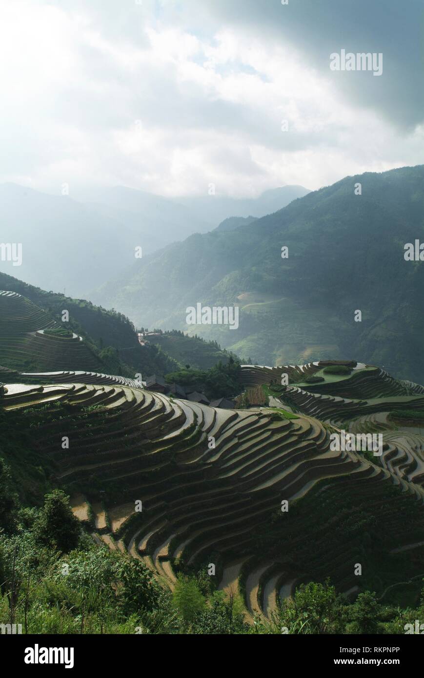 A section of the spectacular Longji- Dragon’s Backbone Rice Terraces at ...