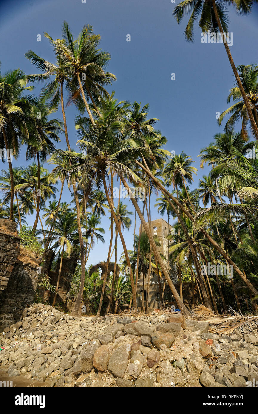 Collapse wall of fort and the palm trees Stock Photo - Alamy