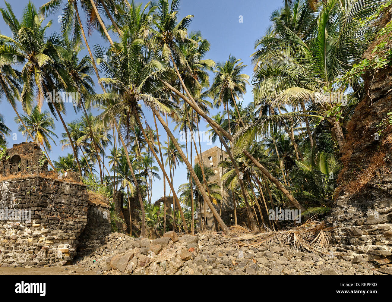 Collapse wall of fort and the palm trees Stock Photo - Alamy