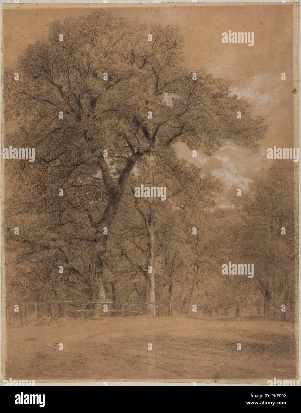 Edge of a Forest - Constant Troyon French, 1810-1865 - Artist: Constant ...