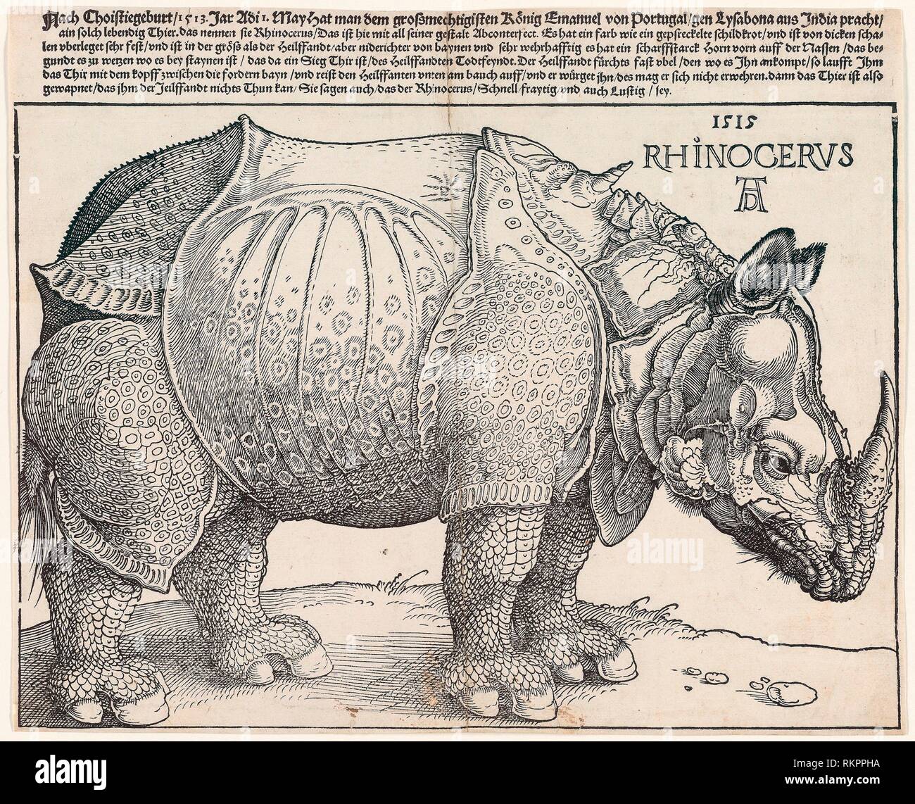 Durer rhinoceros hi-res stock photography and images - Alamy