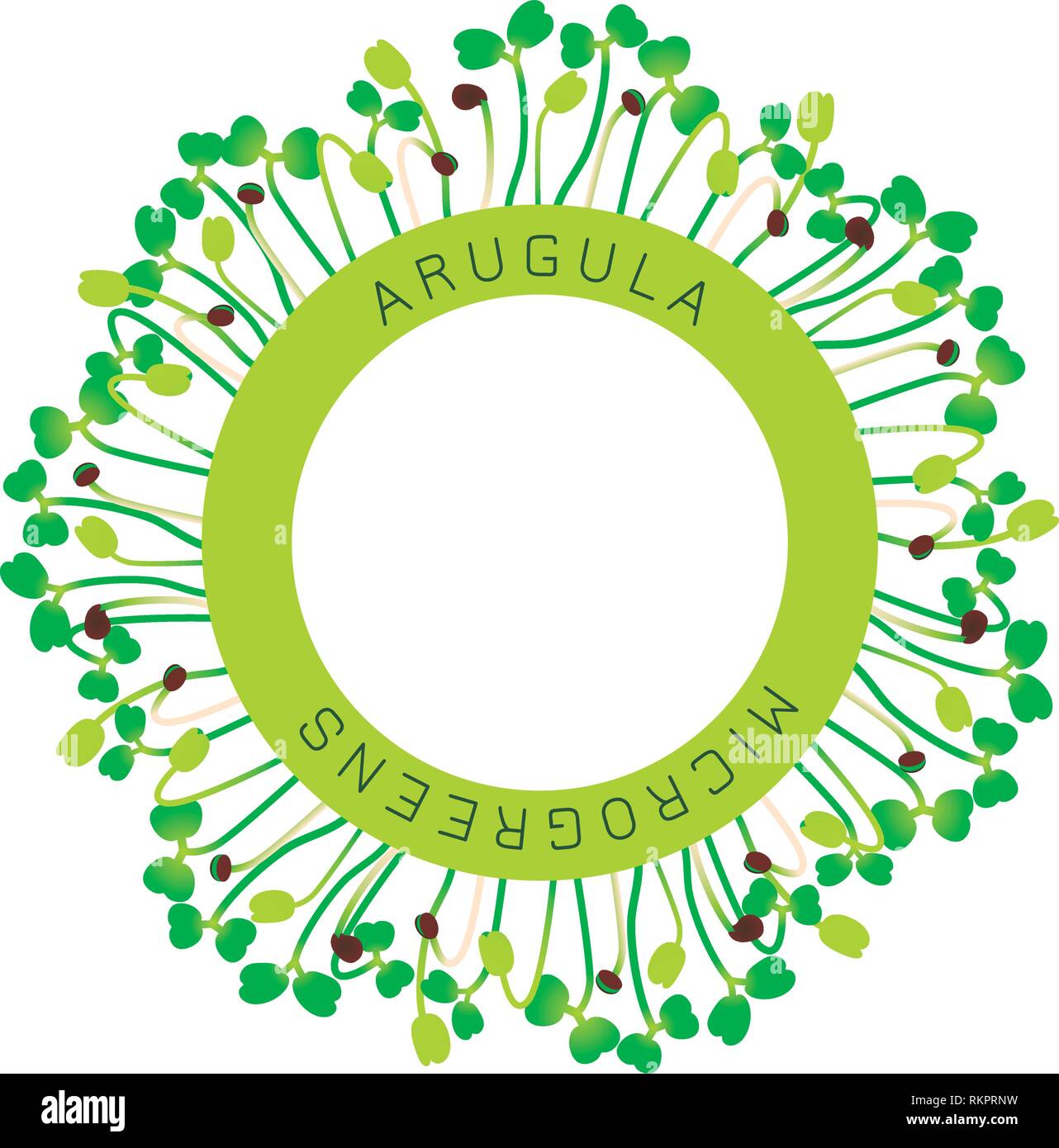 Microgreens Arugula. Seed packaging design, round element in the center ...