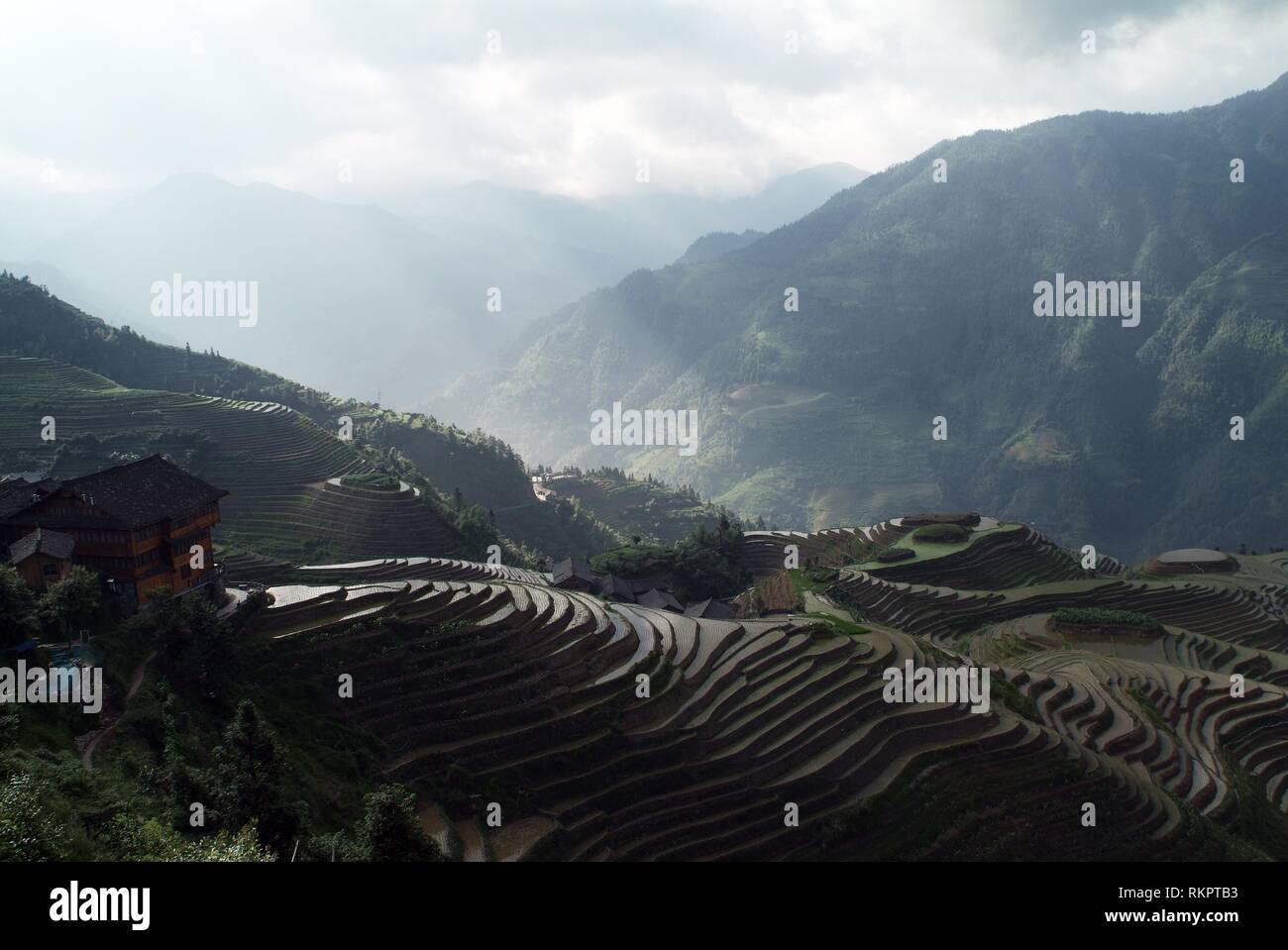 A section of the spectacular Longji - Dragon’s Backbone Rice Terraces ...