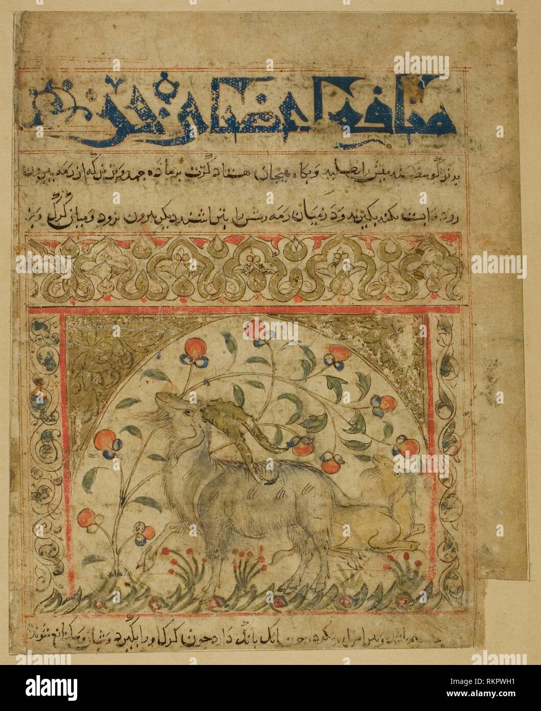 Al hayawan hi-res stock photography and images - Alamy