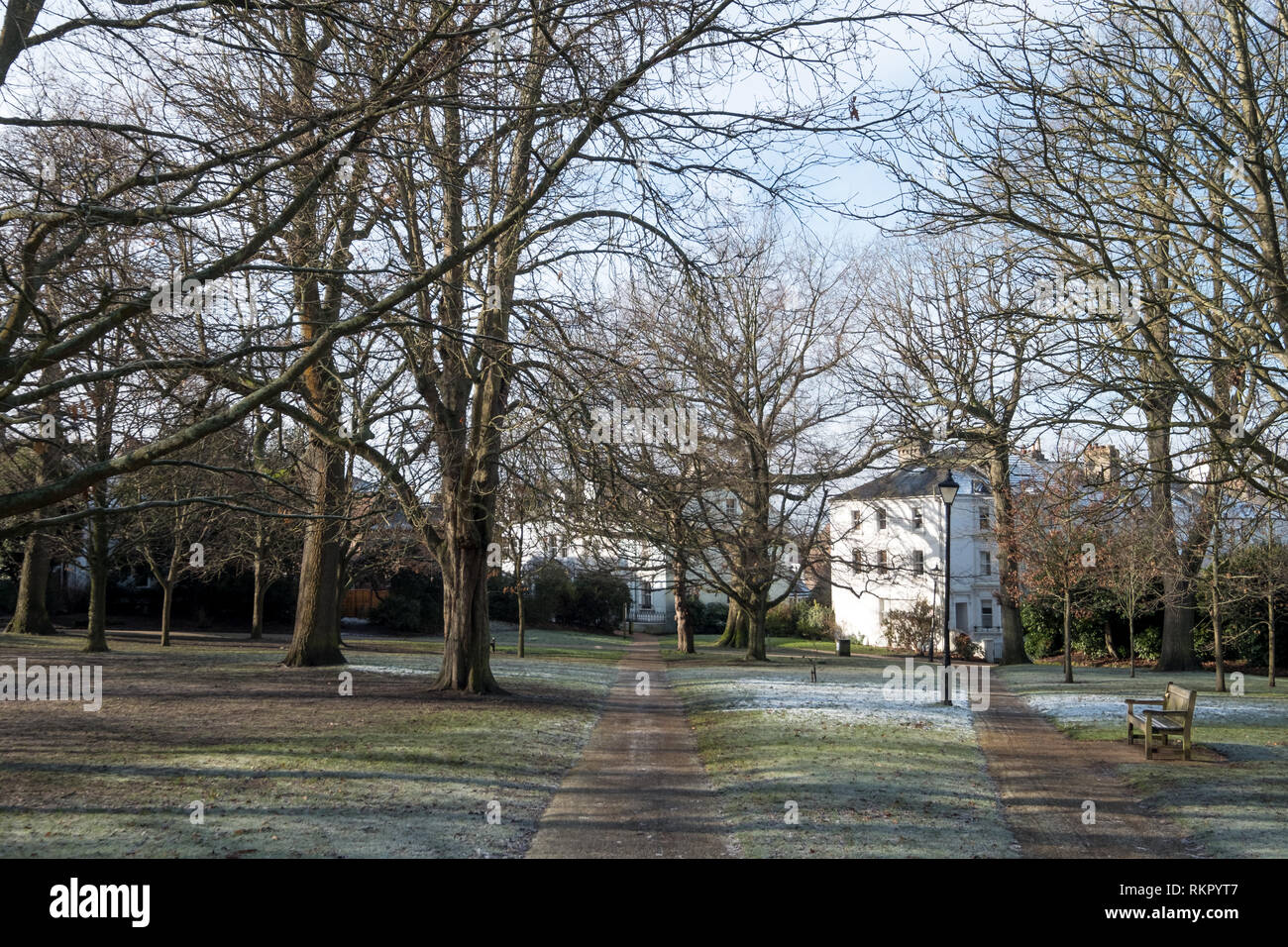 Royal lime trees hi-res stock photography and images - Alamy
