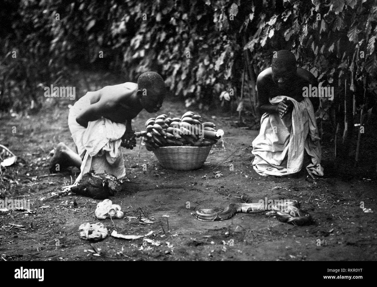africa, dahomey, republic of benin, worship of the snake, 1930 Stock ...