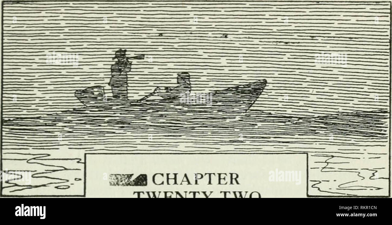 "The Viking blood; a story of seafaring" (1920 Stock Photo - Alamy