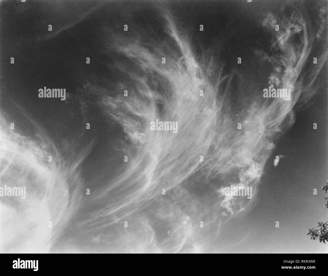 Silver gelatine paper hi-res stock photography and images - Alamy
