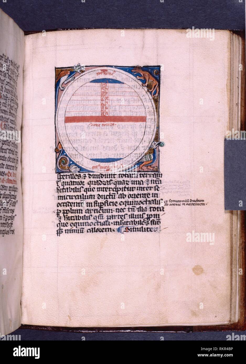 Torrid zone hi-res stock photography and images - Alamy