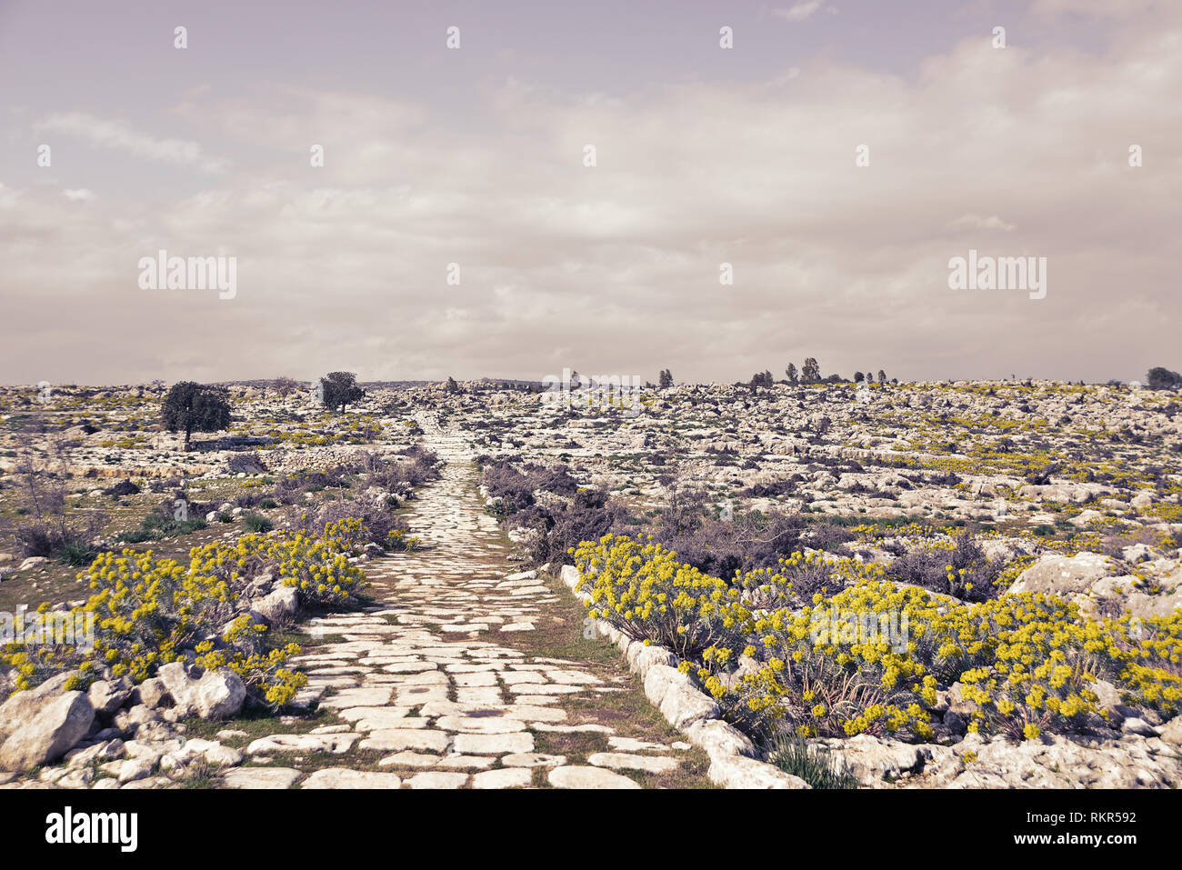 Ruins of ancient Roman Road in Tarsus, Turkey Stock Photo - Alamy