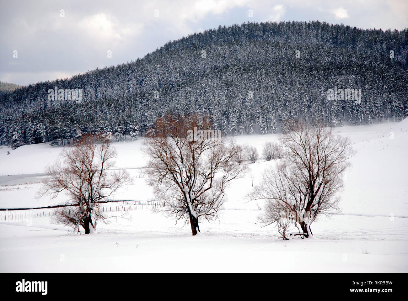 Frost line hi-res stock photography and images - Alamy