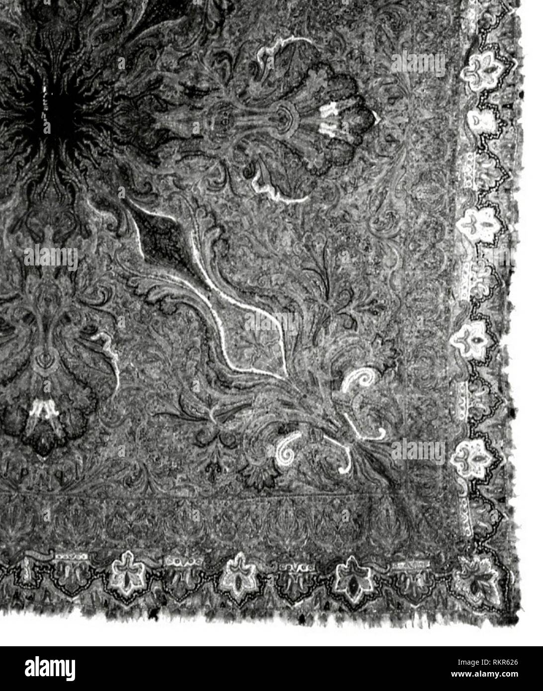 Wool border hi-res stock photography and images - Alamy