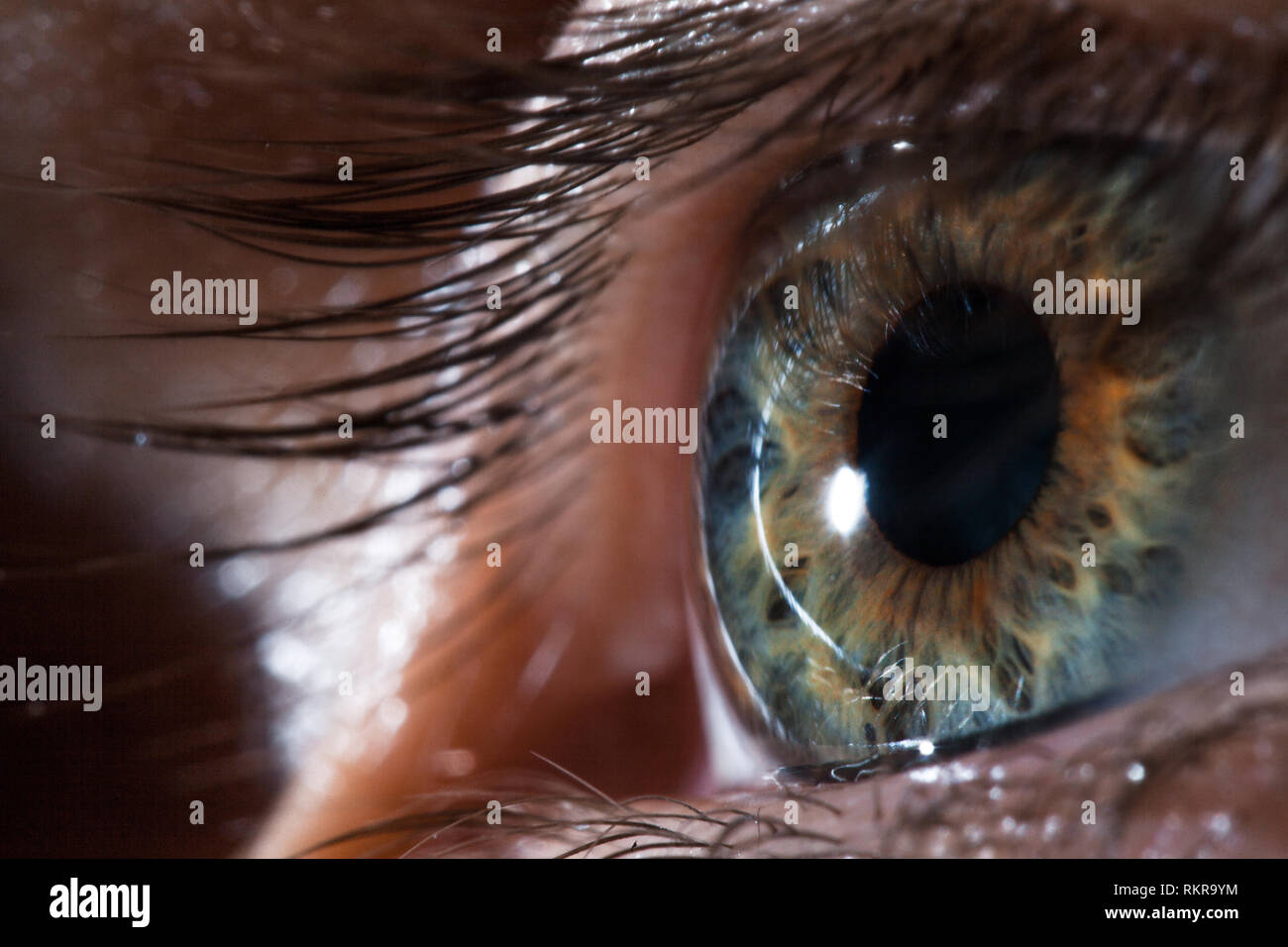 Human eye close-up, macro. Beautiful iris and the pupil of the eye ...