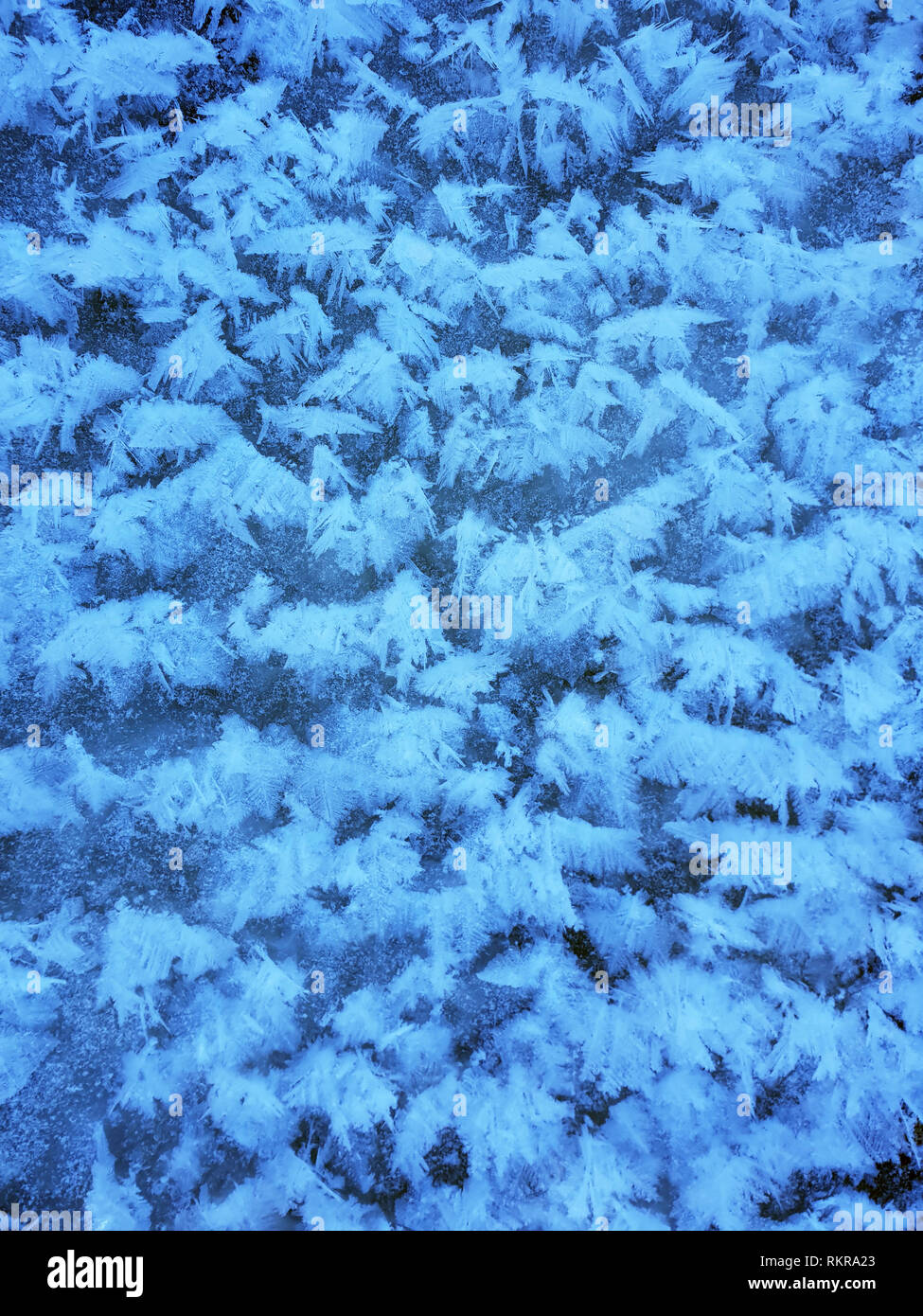 Snow crystals form beautiful snow pattern on frozen river. Snowflake ...