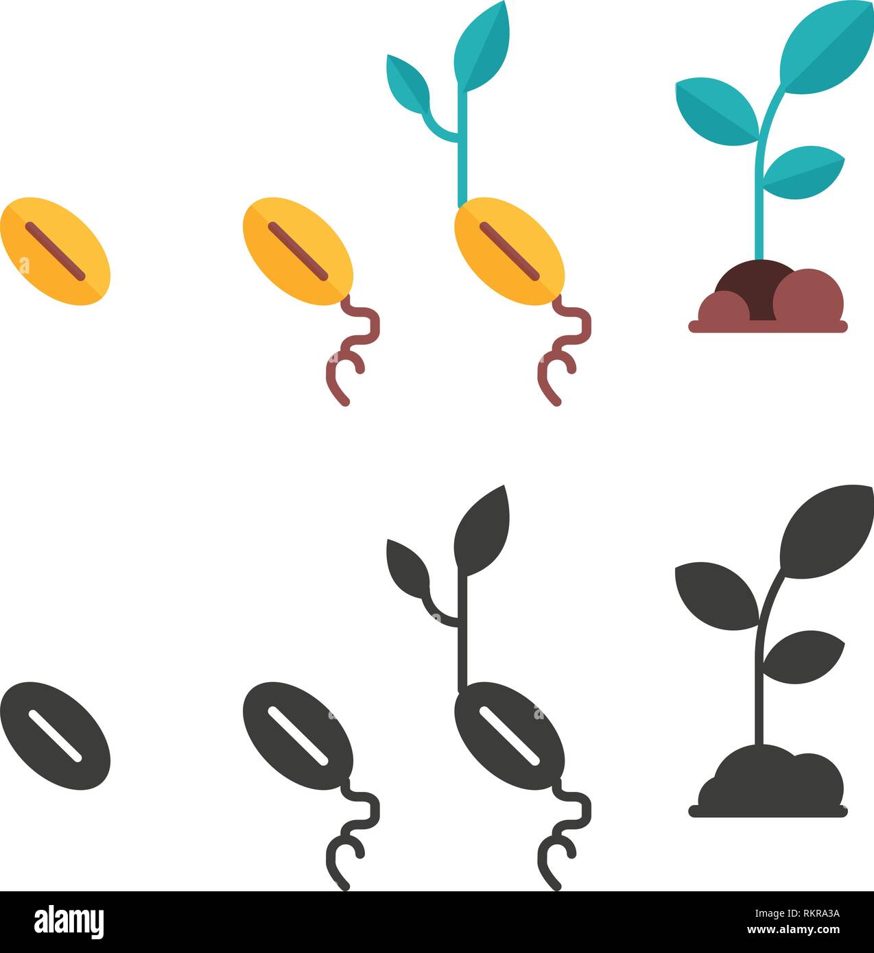 Cycle growth bean plant hi-res stock photography and images - Alamy