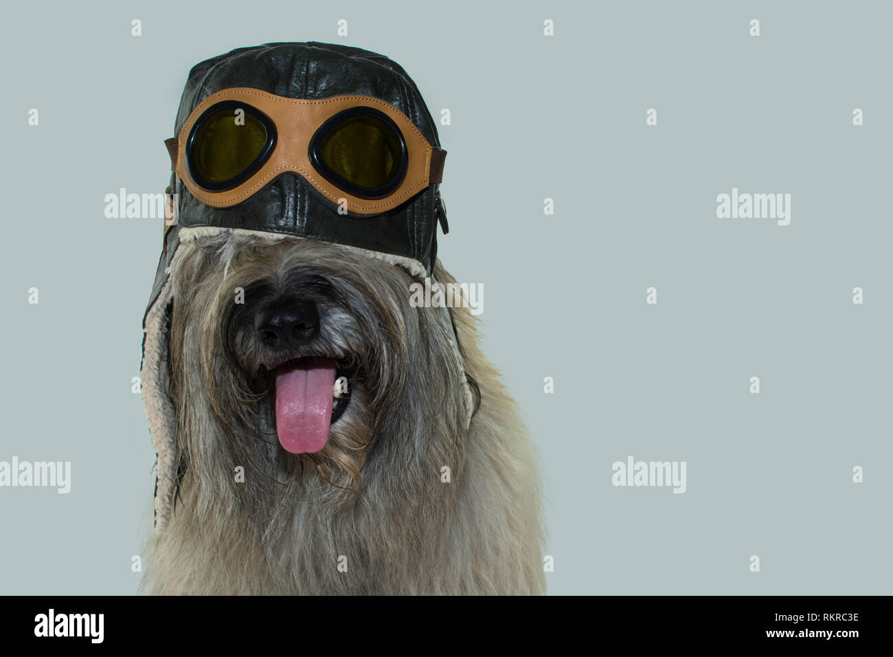 Furry co pilot hi-res stock photography and images - Alamy