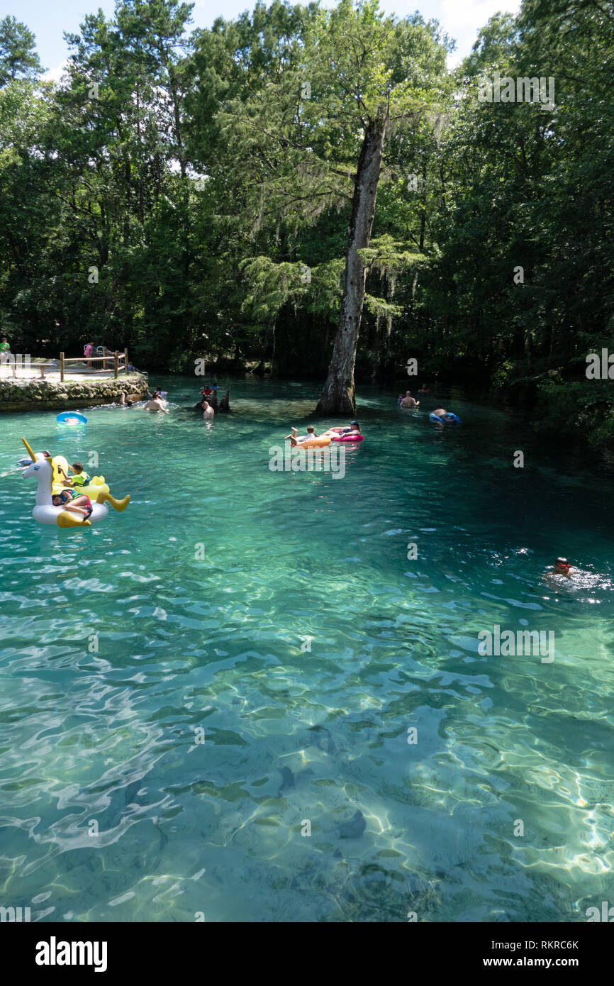 Ponce De Leon Springs High Resolution Stock Photography and Images - Alamy