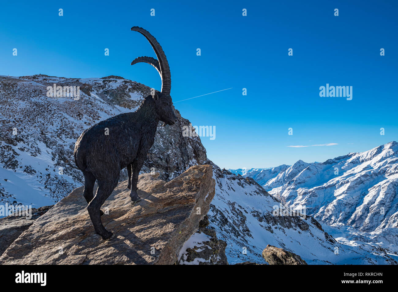 Ibex statue in the alps Stock Photo - Alamy