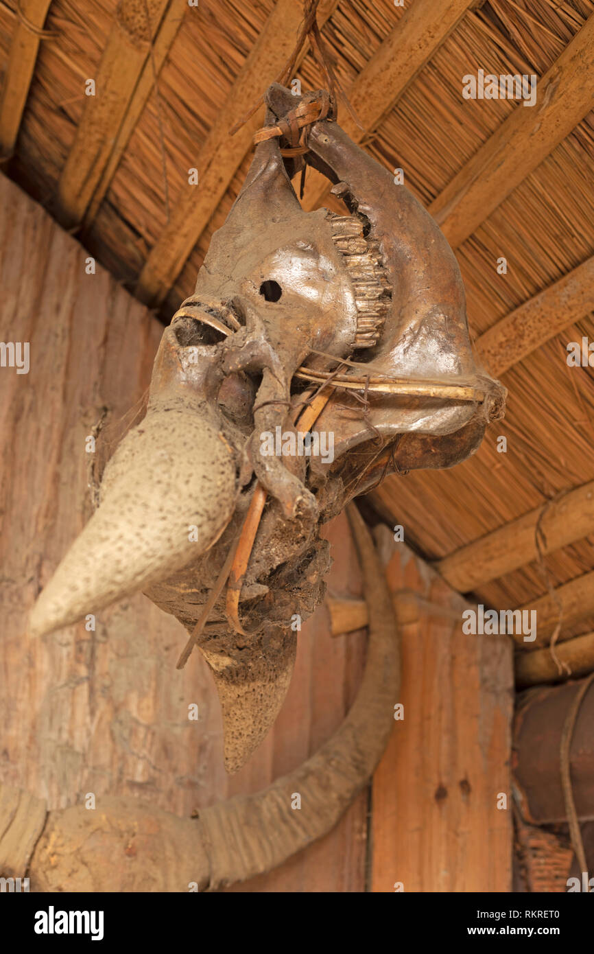 Mithun animal hi-res stock photography and images - Alamy