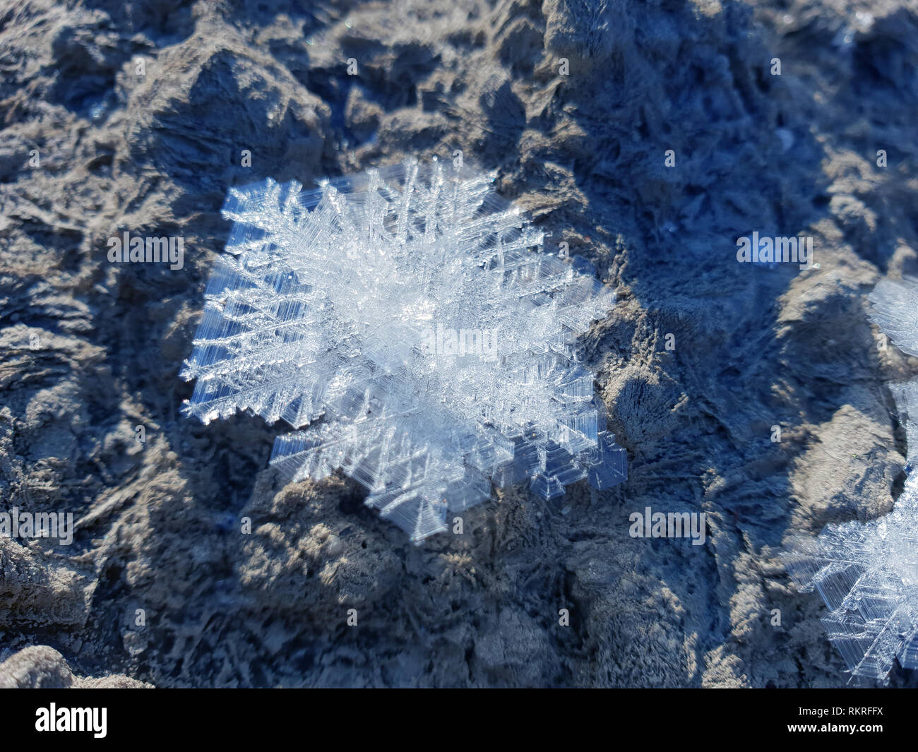 Beautiful snowflake hi-res stock photography and images - Alamy