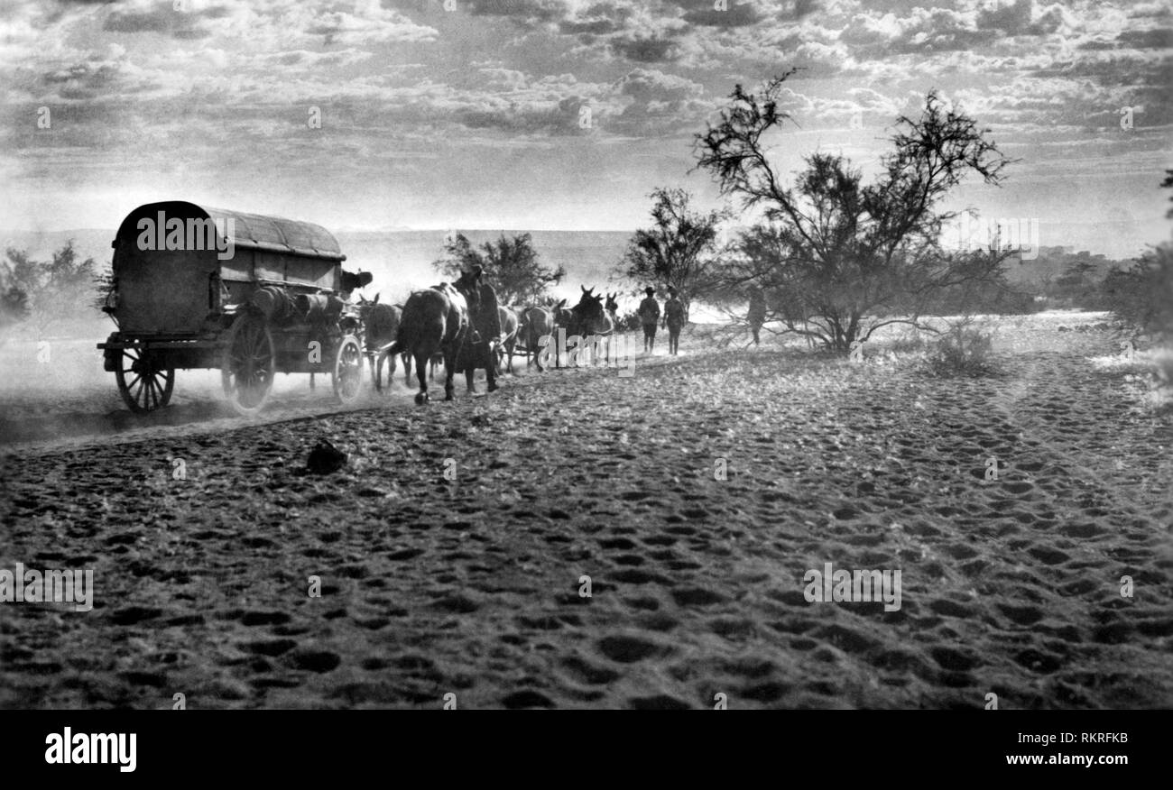 convoy of wagons, southafrica, africa 1920 1930 Stock Photo - Alamy