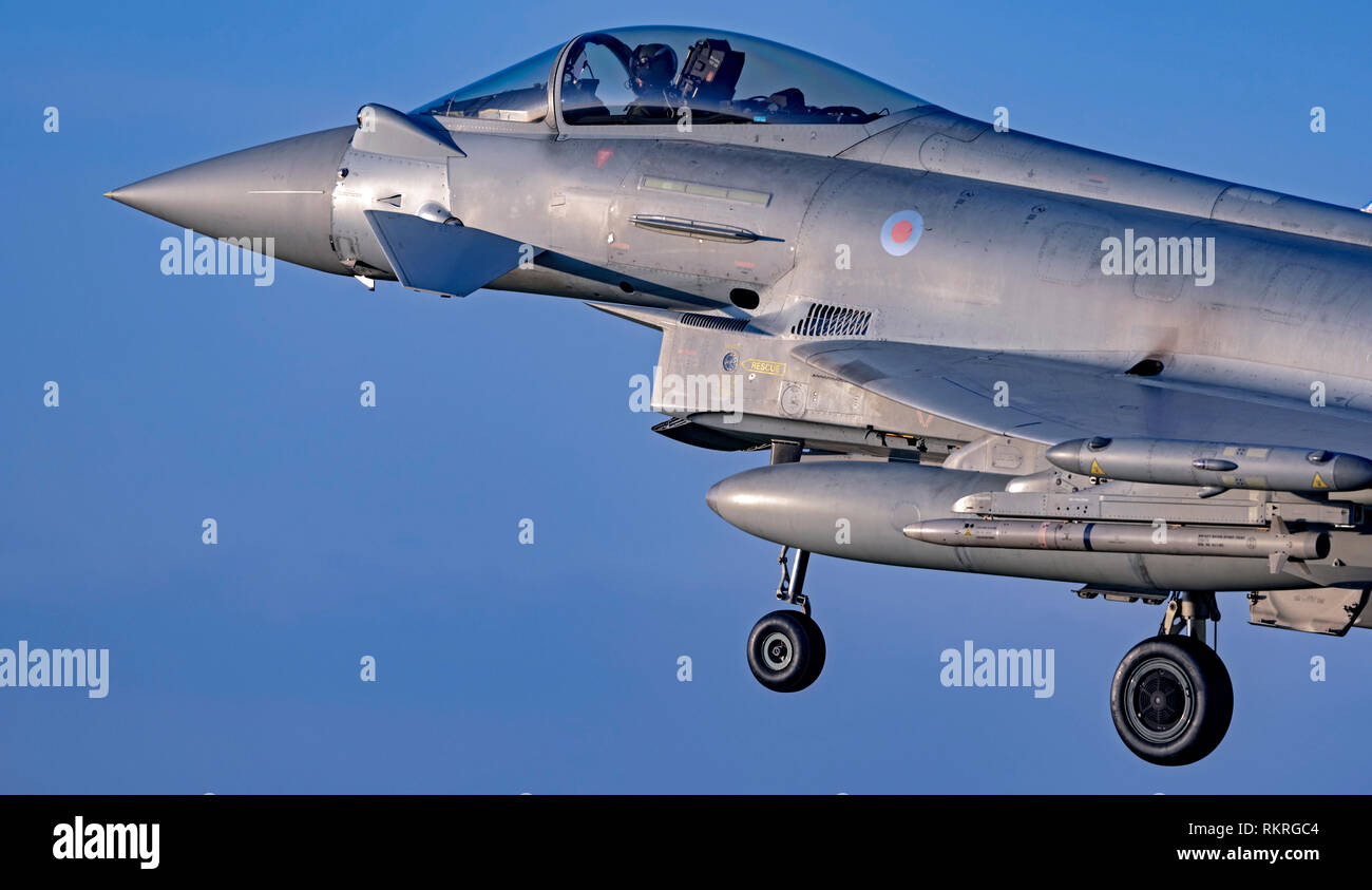 Eurofighter typhoon twin engine canard delta wing hi-res stock ...