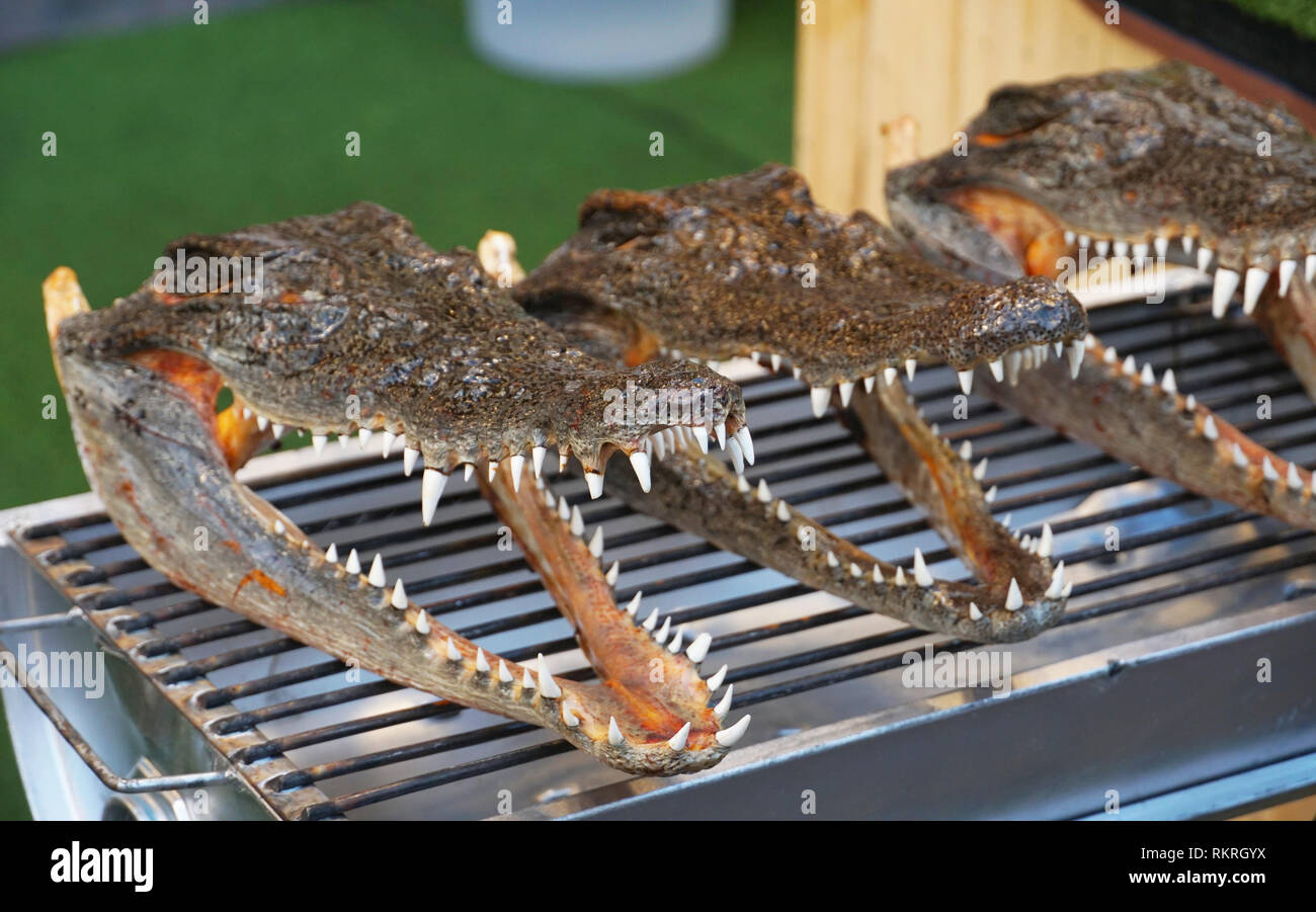 Roasted crocodile head on grill Stock Photo - Alamy