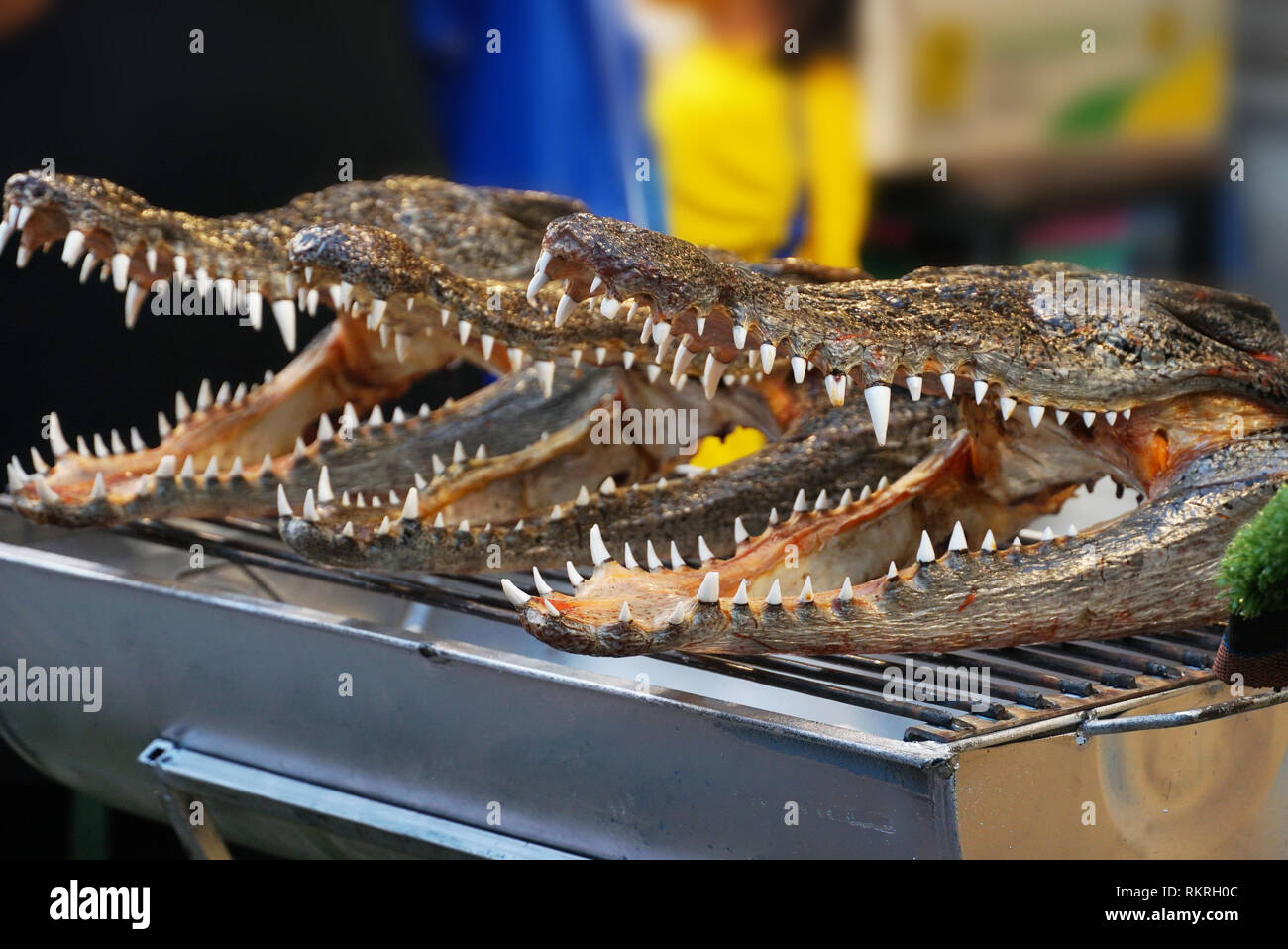 Crocodile Meal High Resolution Stock Photography and Images - Alamy