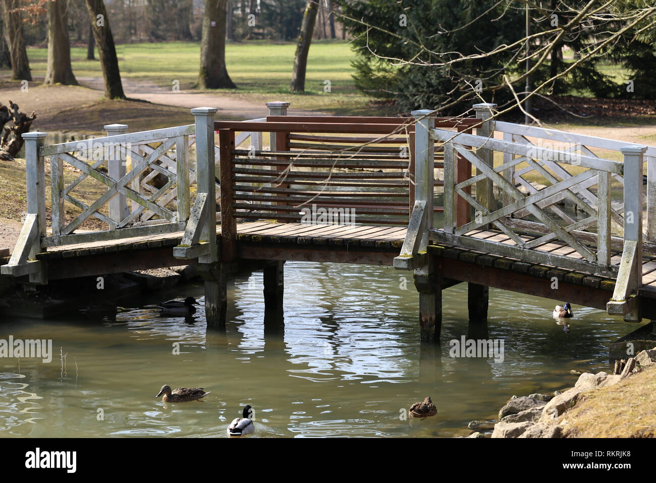 Beautiful bridges for pedestrians in the park Stock Photo - Alamy