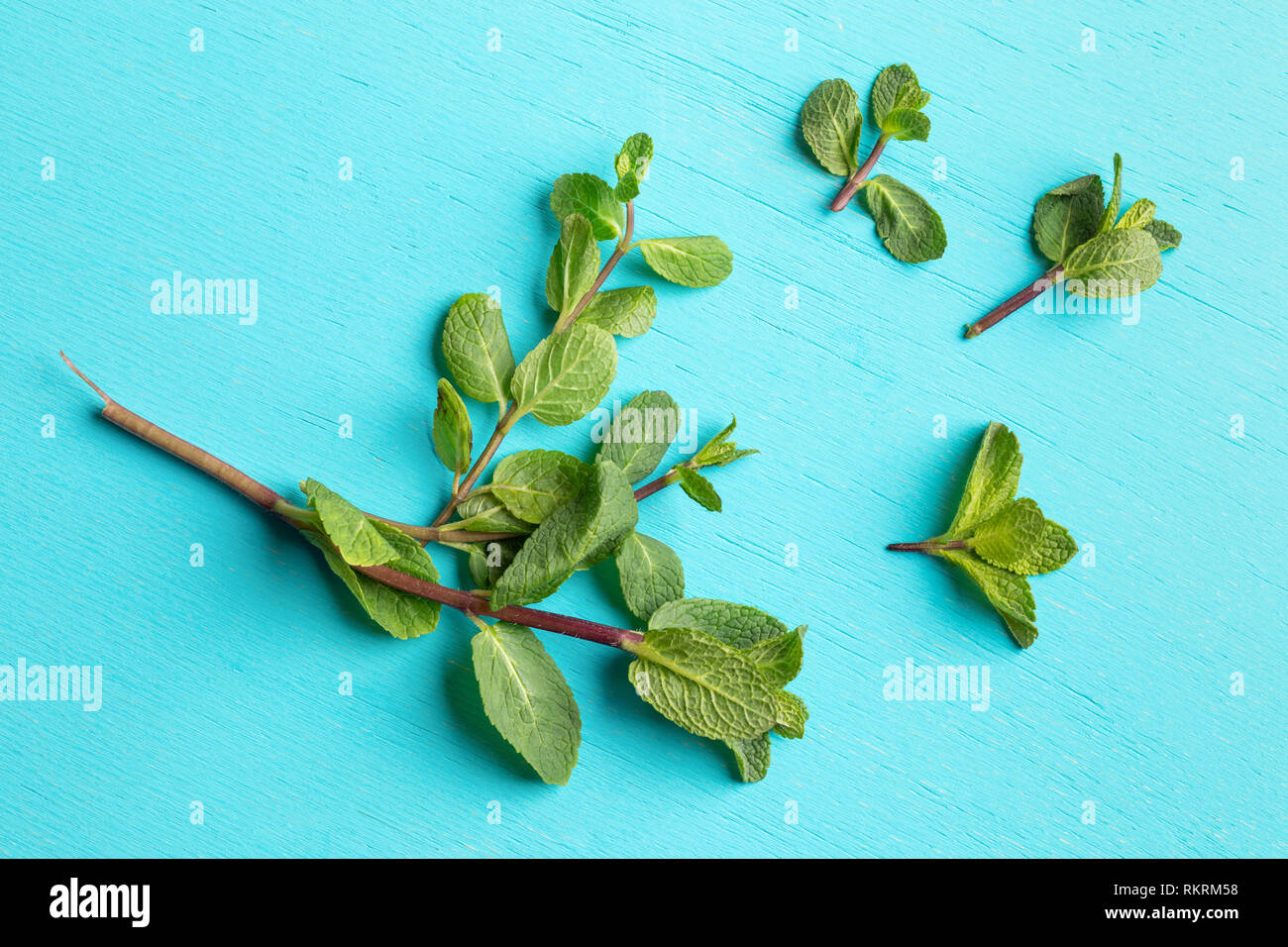 Sprigs of peppermint hi-res stock photography and images - Alamy