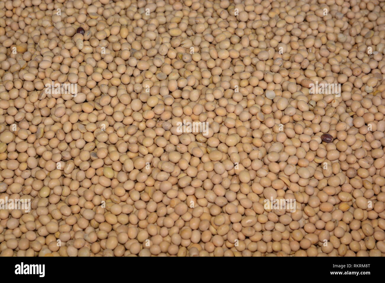 Closeup and Top view shot of Soy Bean texture, food background Stock ...
