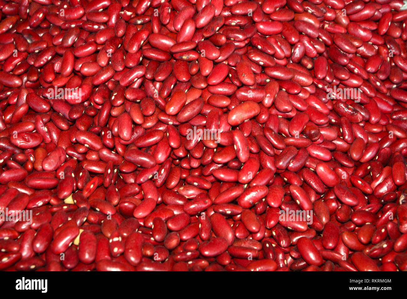 Close up Red Kidney Bean background Stock Photo - Alamy