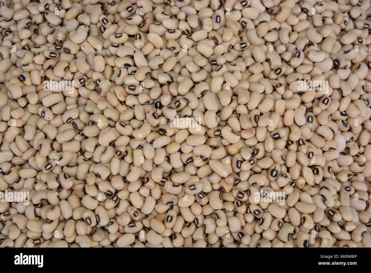 Navy bean hi-res stock photography and images - Alamy
