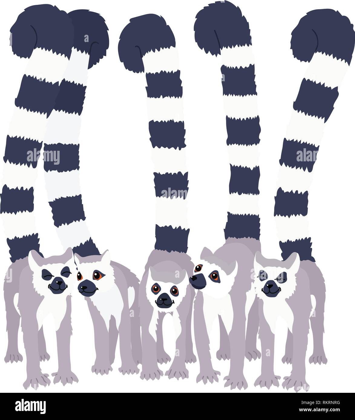 Lemur family Stock Vector Images - Alamy