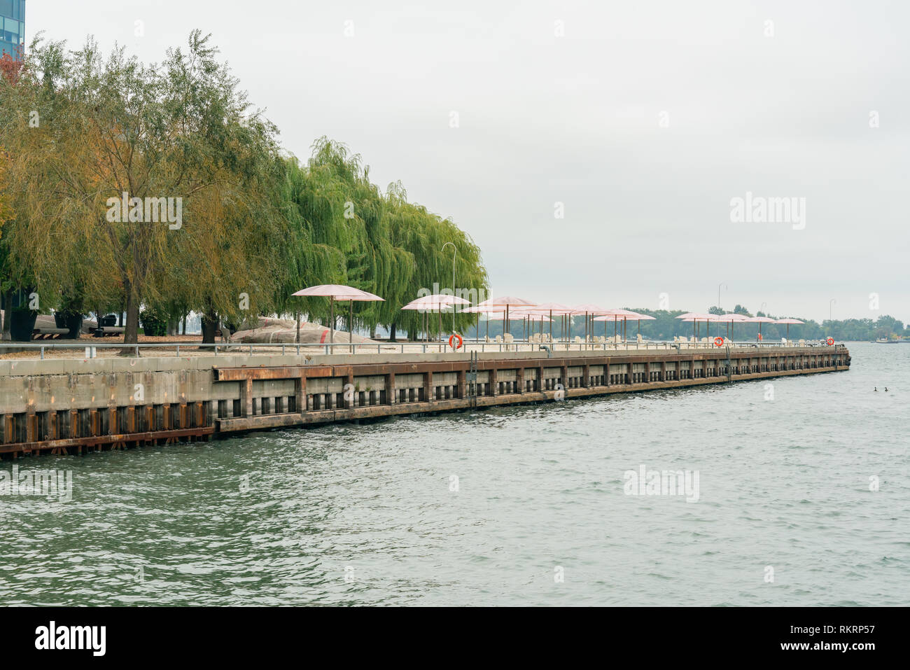 Tree, sand and Sugar Beach Park at Toronto, Canada Stock Photo - Alamy