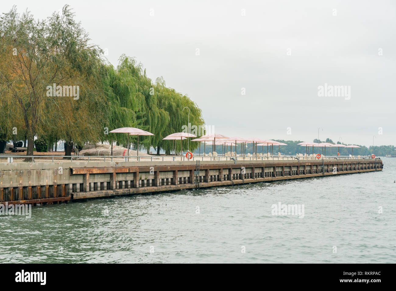Tree, sand and Sugar Beach Park at Toronto, Canada Stock Photo - Alamy