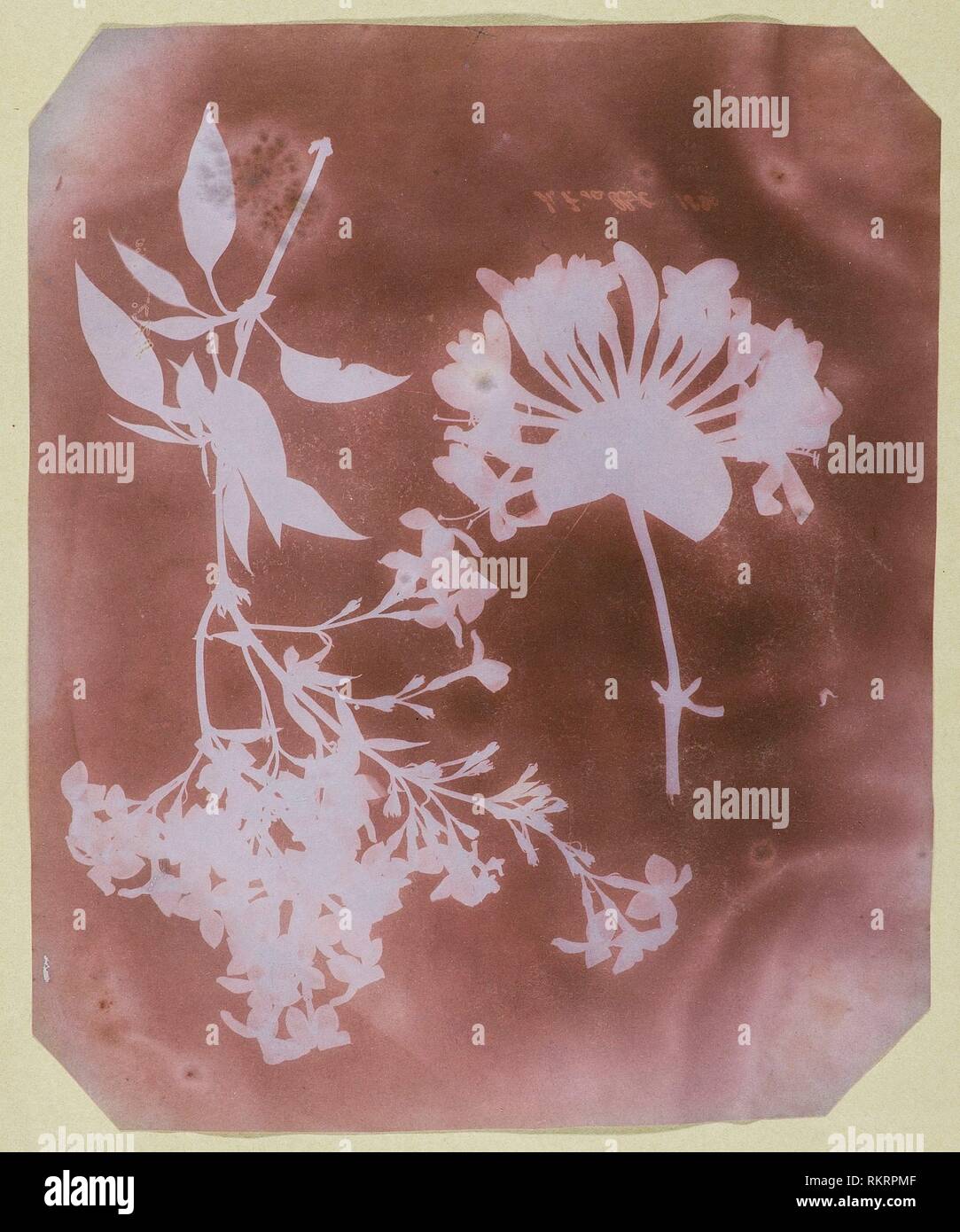 1839 1877 hi-res stock photography and images - Alamy