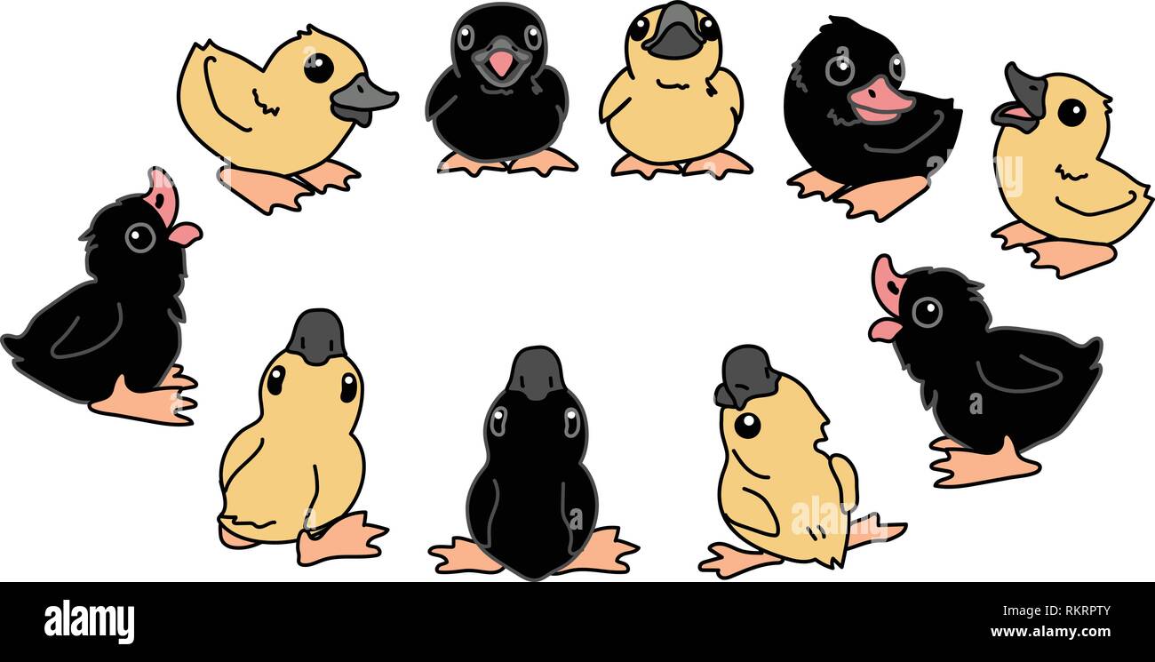 Cartoon duckling Stock Vector Images - Alamy
