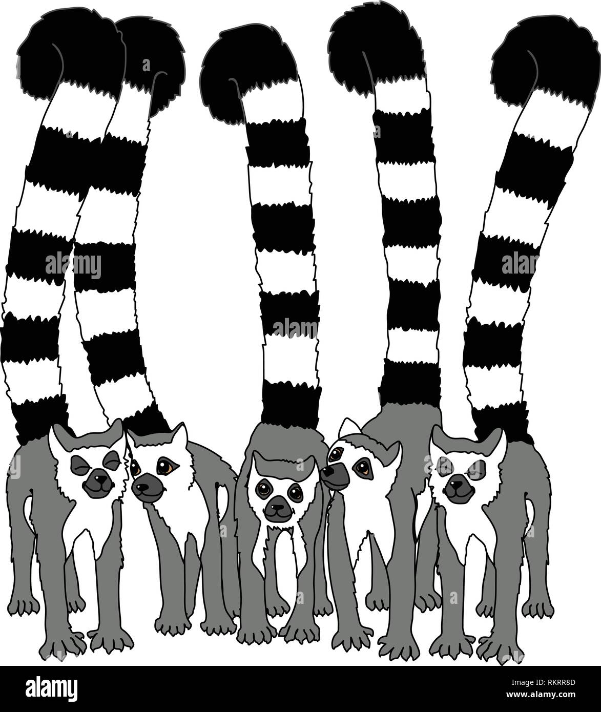 Childish style lemur hi-res stock photography and images - Alamy