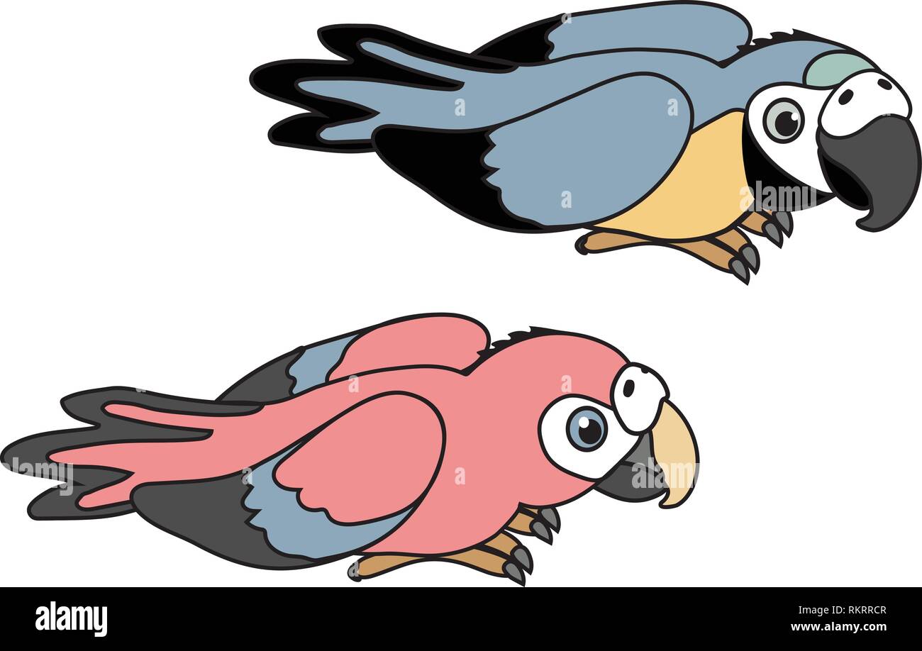 vector cartoon animal clipart ara parrots, macaw Stock Vector Image ...