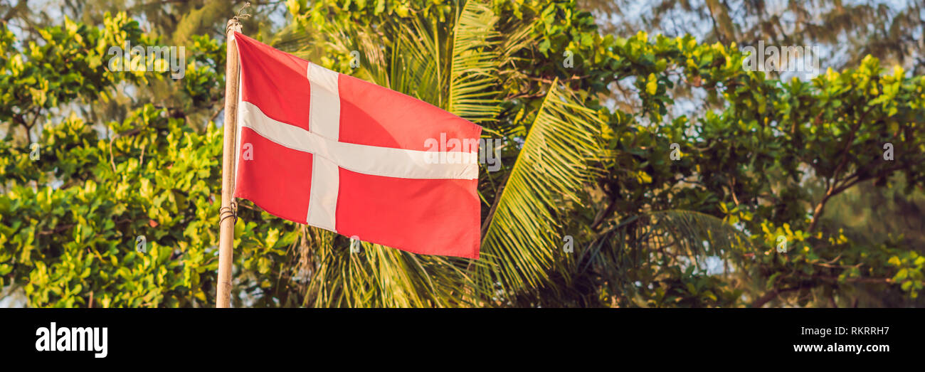 Flag of Denmark against the backdrop of palm trees BANNER, long format ...